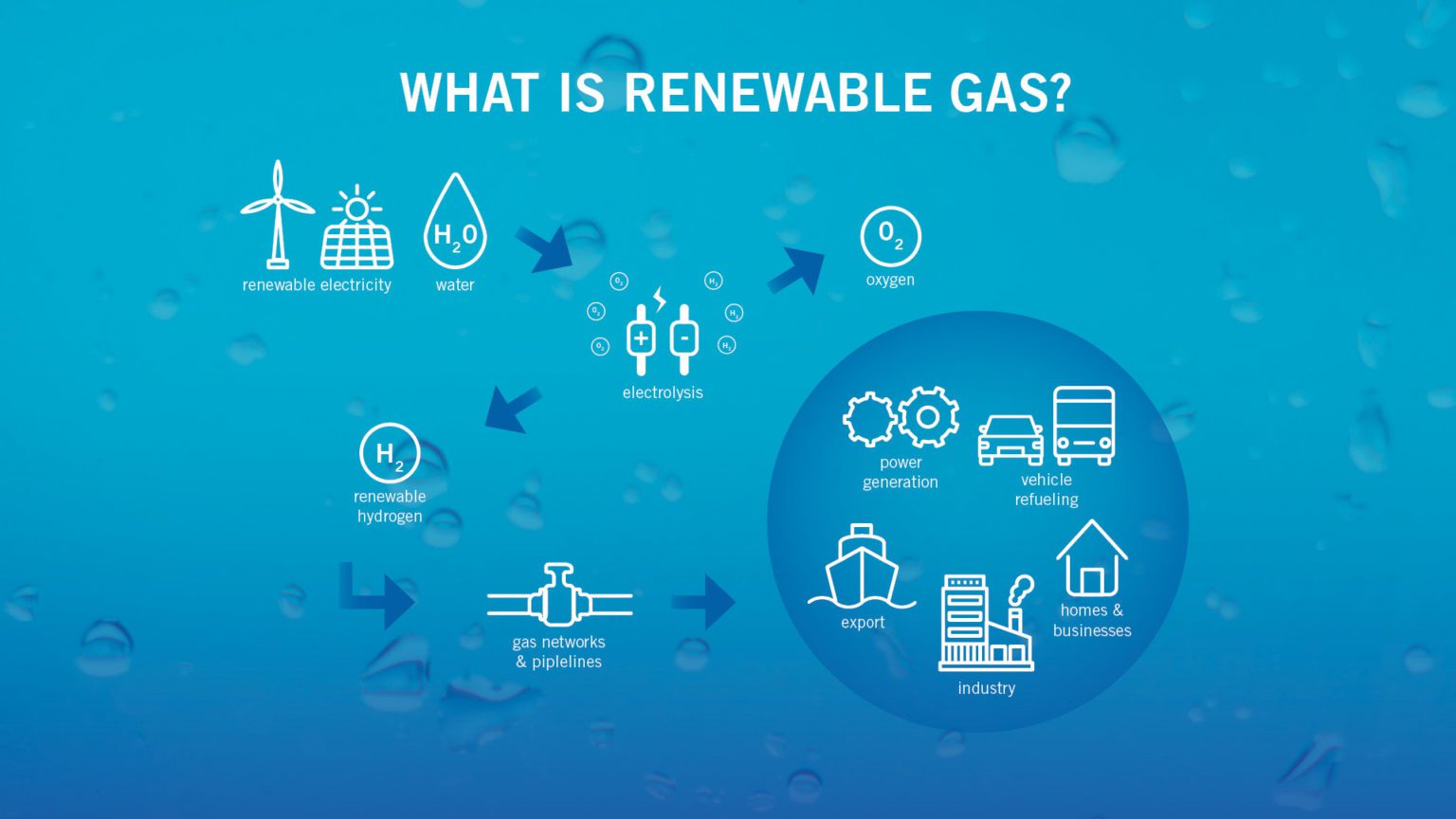 What is Renewable Gas - Seeley International