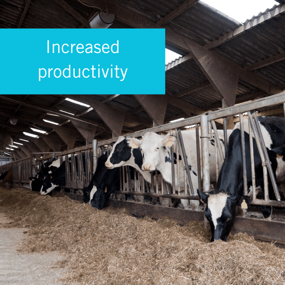Farm air conditioning - Seeley International
